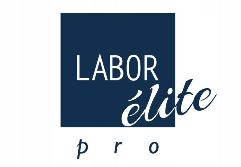 Lokówko prostownica - LE008 LaborPro, HAIR FLOW HIT - dla fryzjerek ...